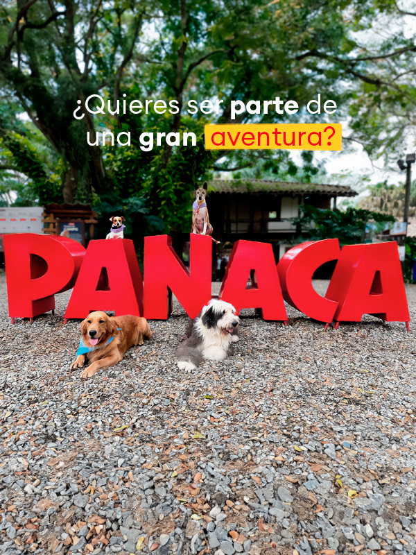 Parque Panaca
